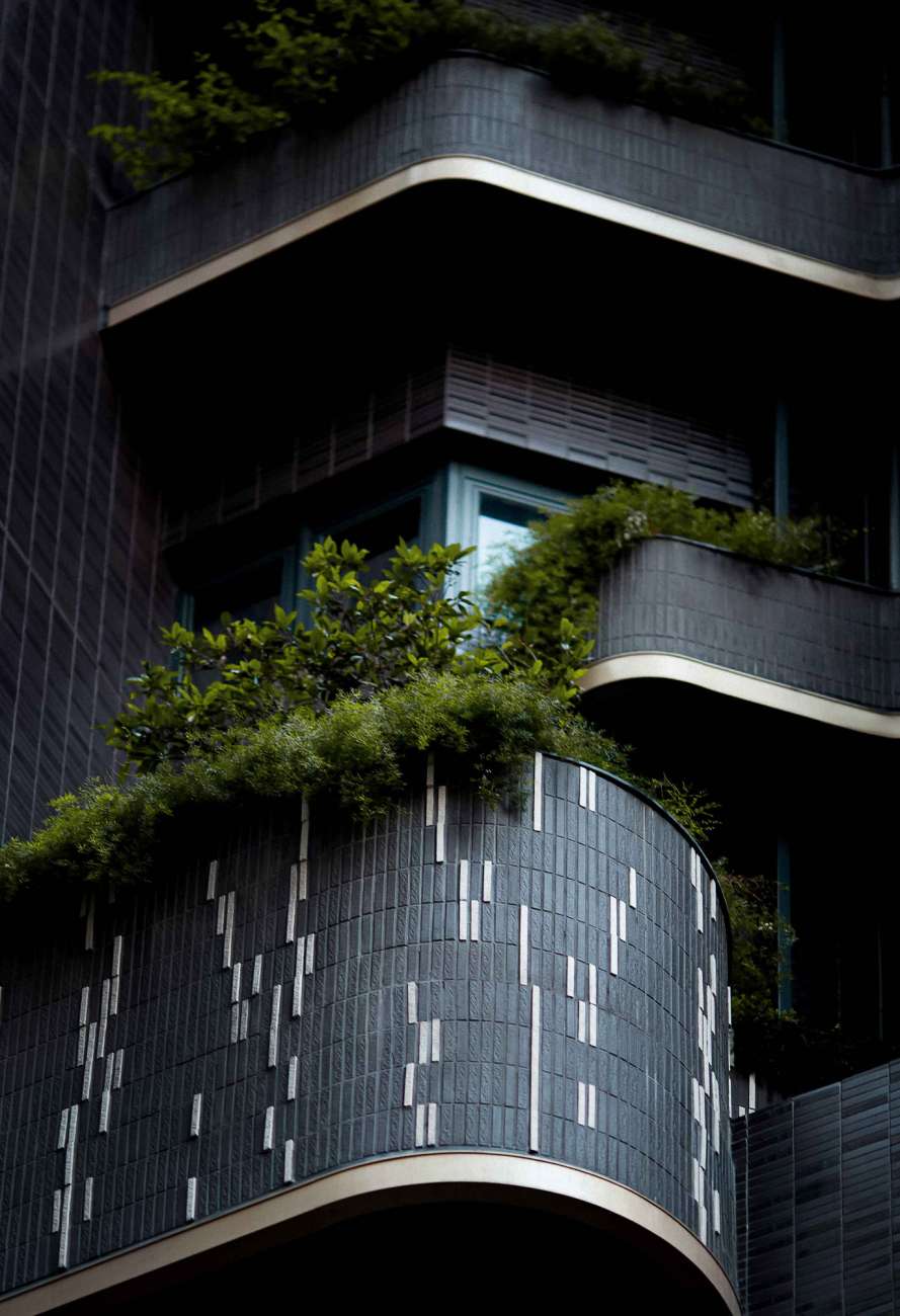 NCDA – Timber House