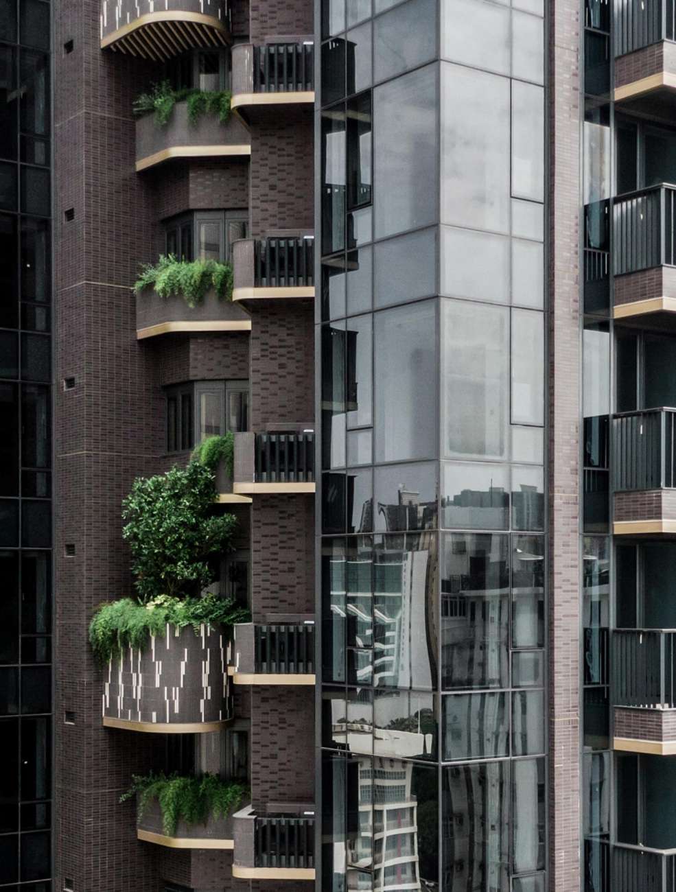 NCDA – Timber House